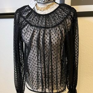 Zara | Tops | Zara Sheer Long Sleeve Black Blouse | Poshmark